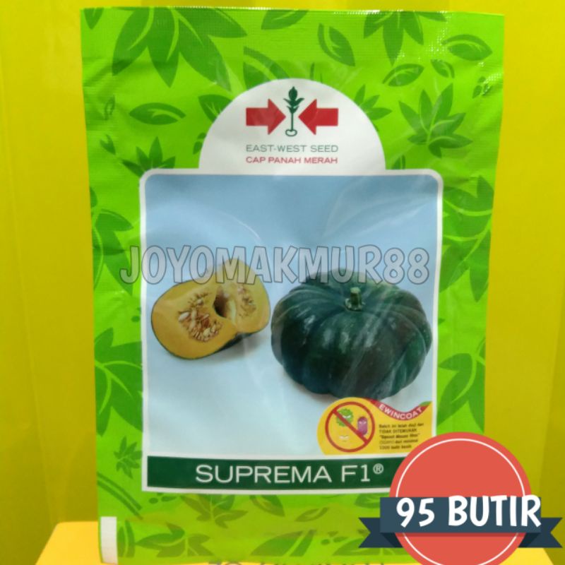 Jual Benih labu SUPREMA F1 95 butir biji waluh kuning | Shopee Indonesia