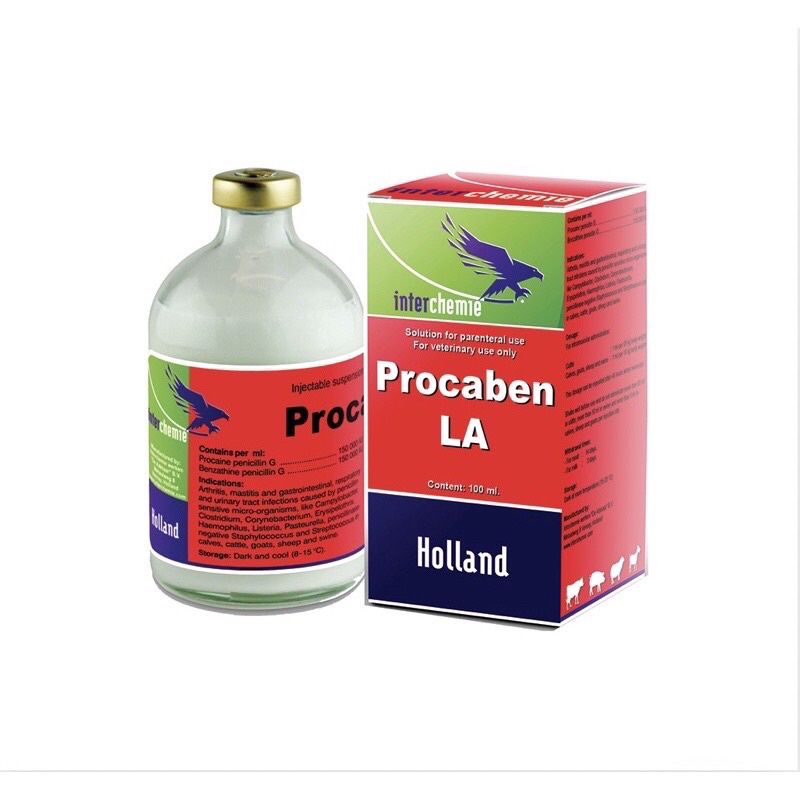 Jual PROCABEN LA Injeksi Antibiotik Penicillin Long Acting | Shopee ...