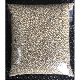 Jual Lada / Merica Butir Putih 1 Kg | Shopee Indonesia
