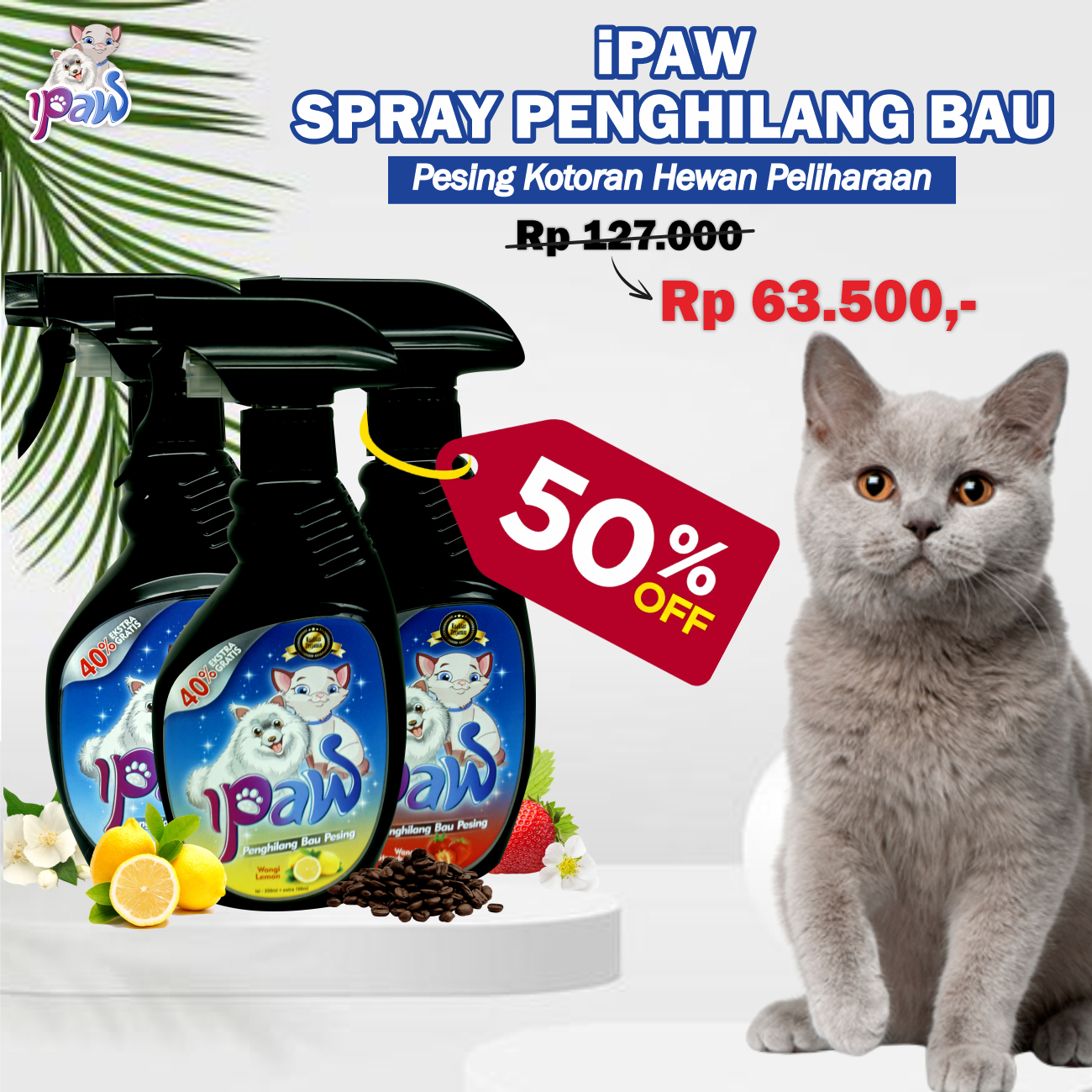 Produk iPAW Official | Shopee Indonesia