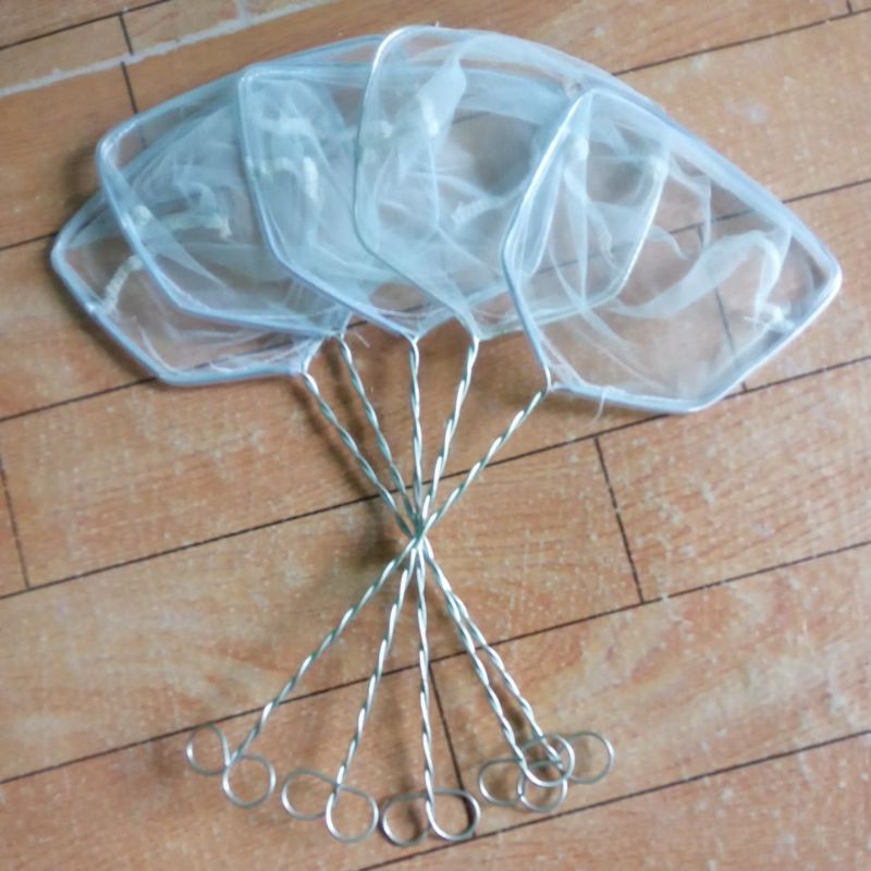 Jual Seser Serok Ikan Kecil Harga Terjangkau | Shopee Indonesia