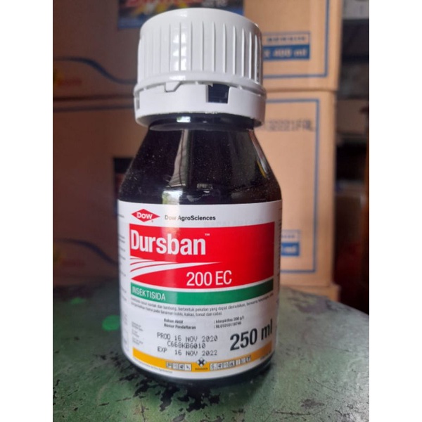 Jual Insektisida Dursban 200ec 250ml Obat Lalat Buah dan Penghisap buah ...