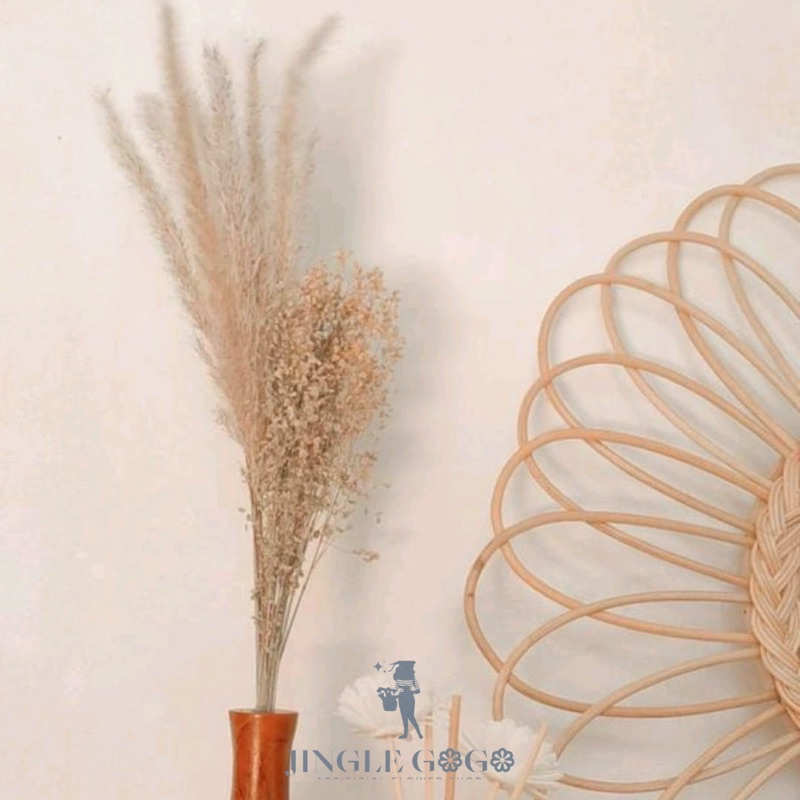 Jual Bunga Kering Aesthetic Pampas Reed Mini Dried Flower Rustic ...