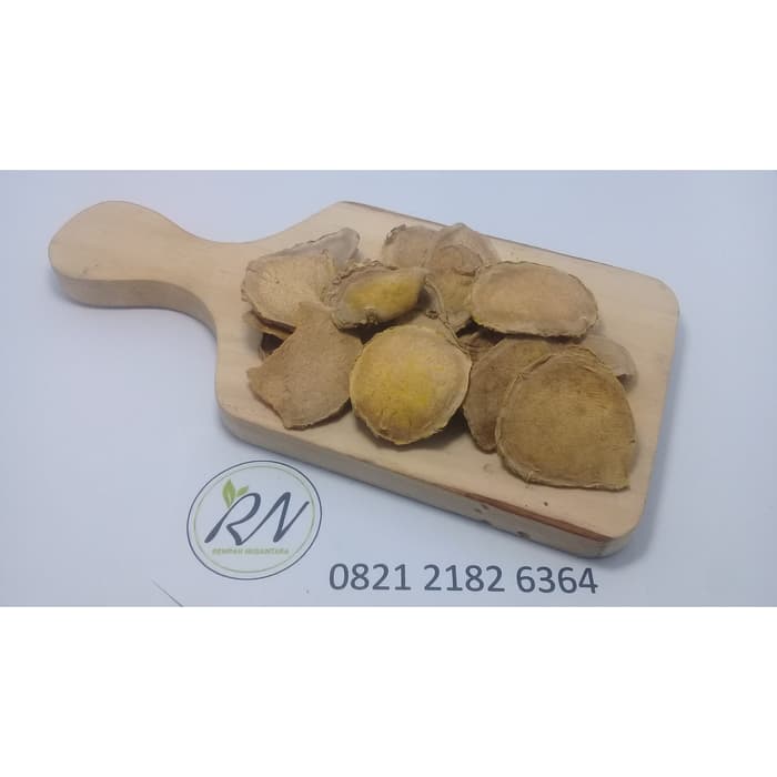 Jual Temu kuning/temulawak/koneng gede 510gr | Shopee Indonesia