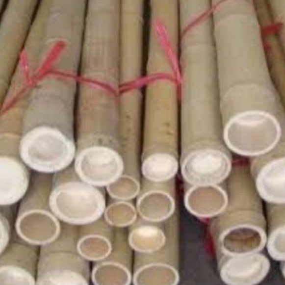 Jual POTONGAN BAMBU BESAR BAMBU KERING | Shopee Indonesia