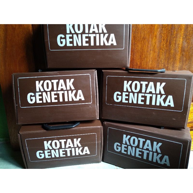 Jual KANCING GENETIKA 5 WARNA, PERAGA PENDIDIKAN KANCING GENETIK ...