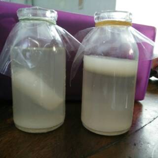 Jual BIBIT NATA DE COCO, STARTER NATA decoco || bakteri Acetobacter ...