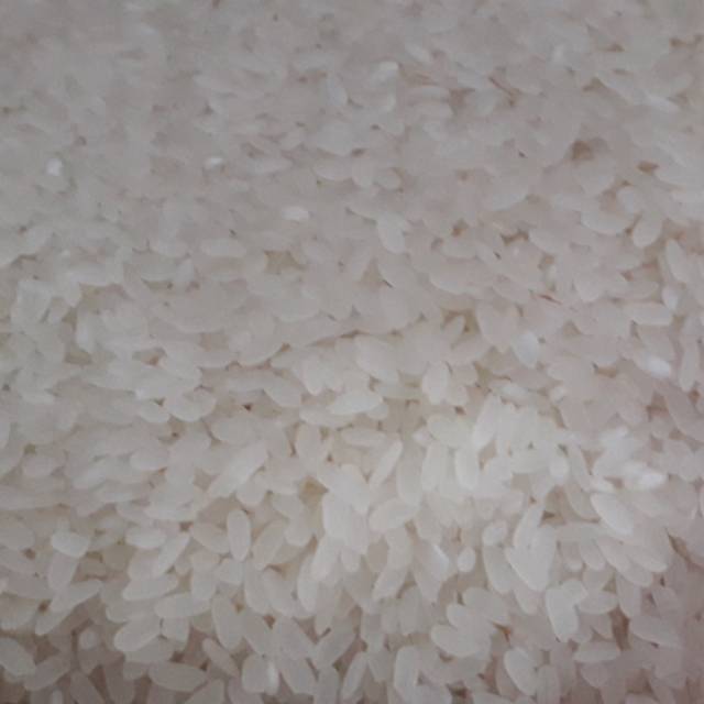 Jual Beras Ir42 Perak Solok 1 KG | Shopee Indonesia