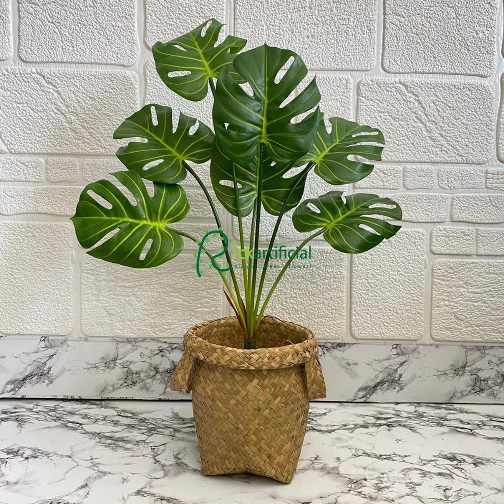 Jual Pohon Hias Daun Monstera X7 Latex Artificial Cover Pot Anyaman ...