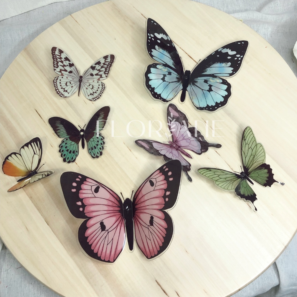 Jual Additional Butterfly (Kupu-kupu) | Shopee Indonesia