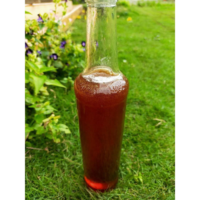 Jual MADU Asli harga terjangkau | Shopee Indonesia