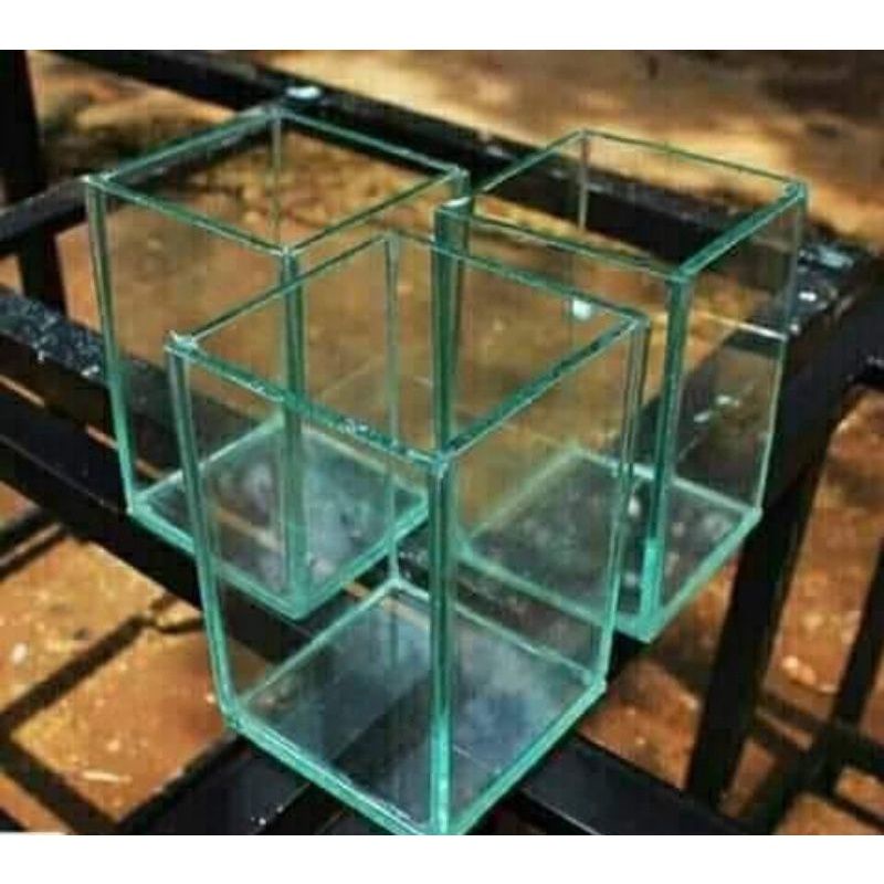 Jual aquarium cupang/aquascape hias UK 15x15x10 | Shopee Indonesia