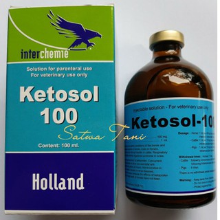 Jual Ketosol 100 anti radang dan demam (asli) | Shopee Indonesia