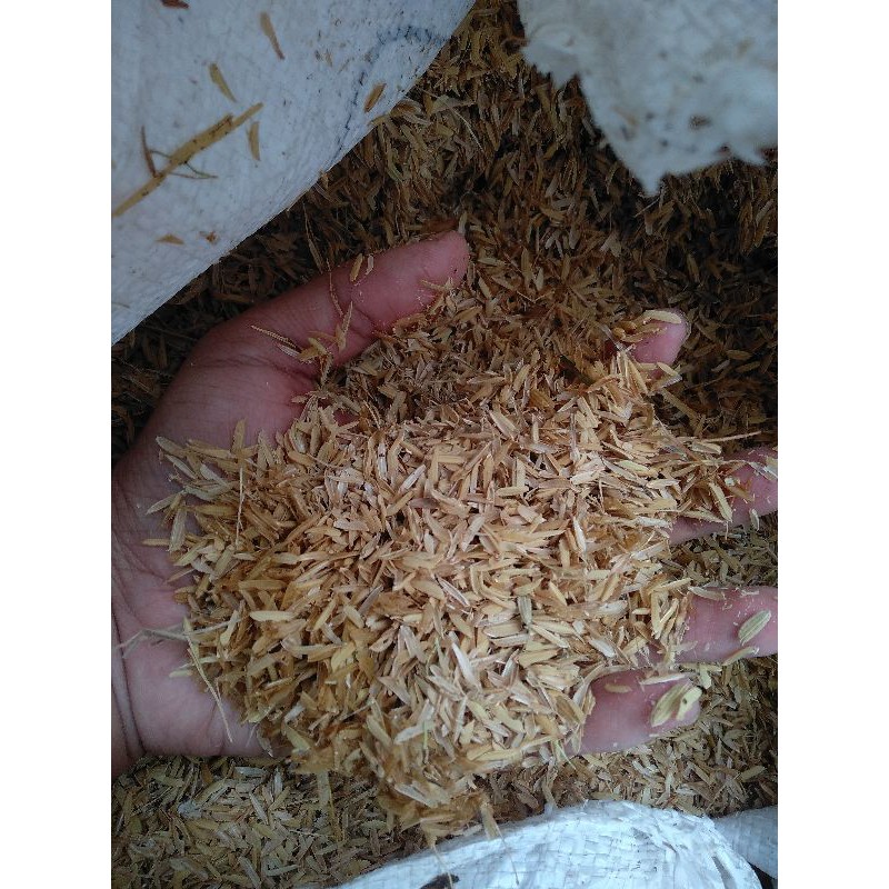 Jual Media Tanam Organik - Sekam Padi Mentah - Sekem Kulit Padi (200 ...