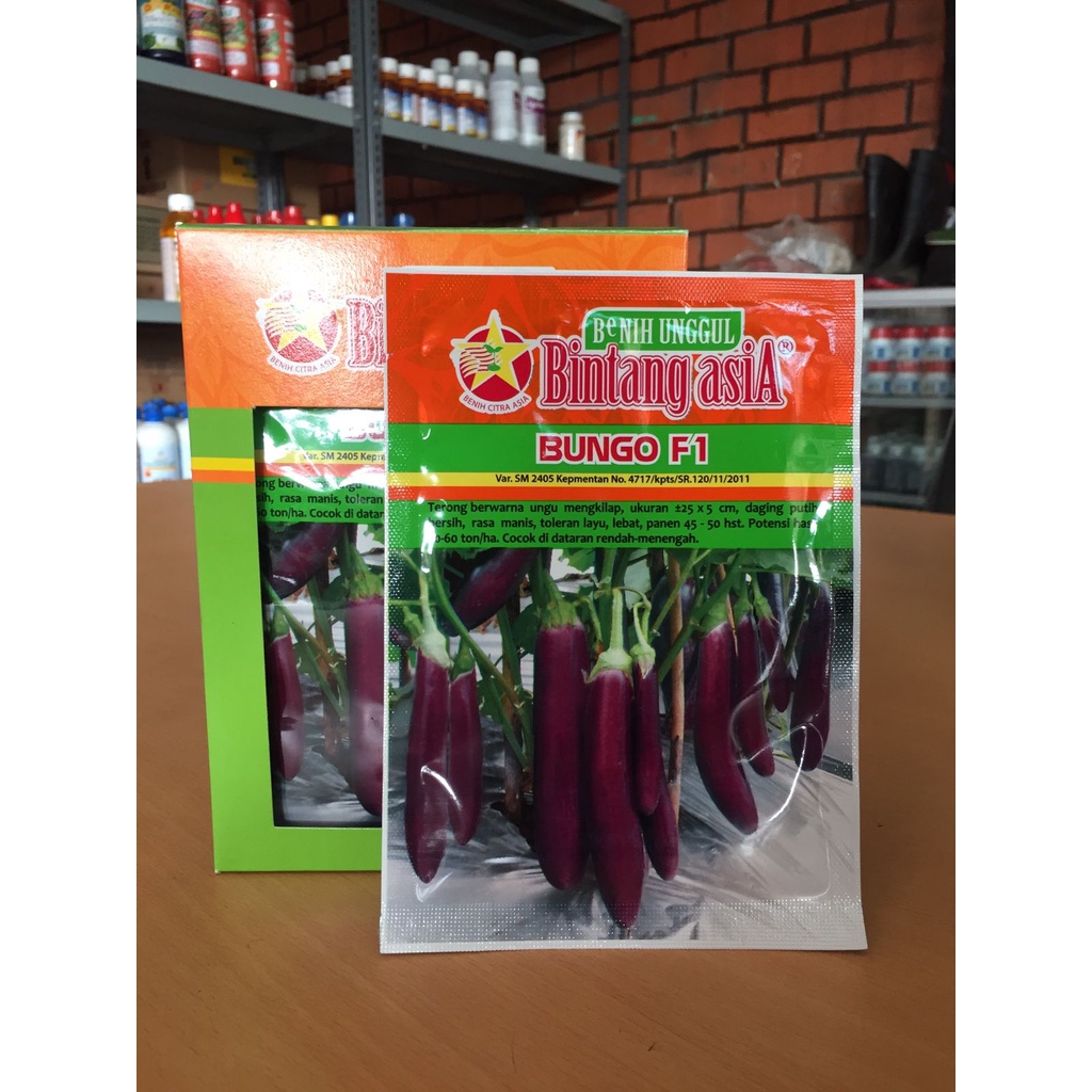 Jual Benih Terong Ungu Bungo F1 Bibit Terong Bintang Asia | Shopee ...