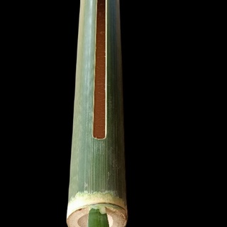 Jual jual kentungan atau pentongan atau kohkol per 2 padang | Shopee ...