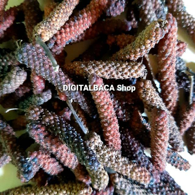Jual Cabe Jawa, Cabe Jamu / Cabe Puyang (Kering 250 gram) | Shopee ...