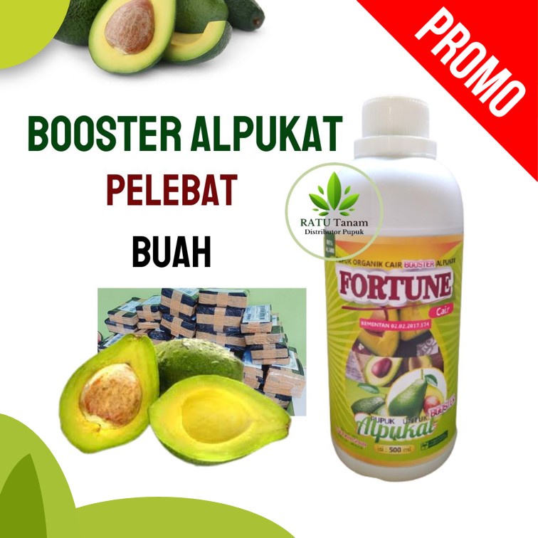 Jual Booster Buah Organik Alpukat Biar Besar Lebat ANTI Busuk Buah dan Rontok, Pupuk Booster ...