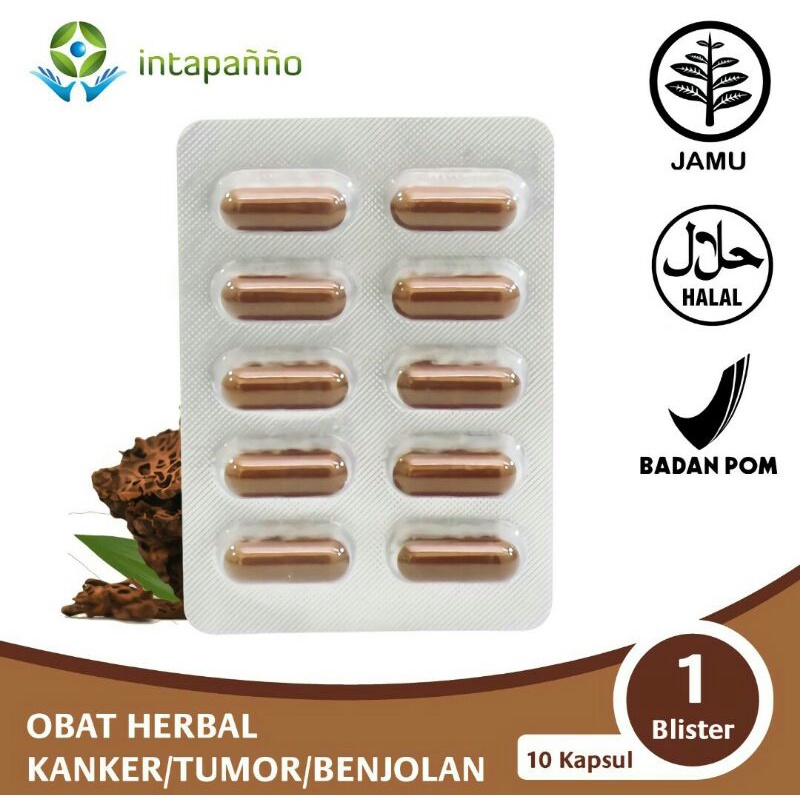 Jual INTAPANNO Sarang Semut Obat Herbal Kanker / Tumor / Benjolan ...