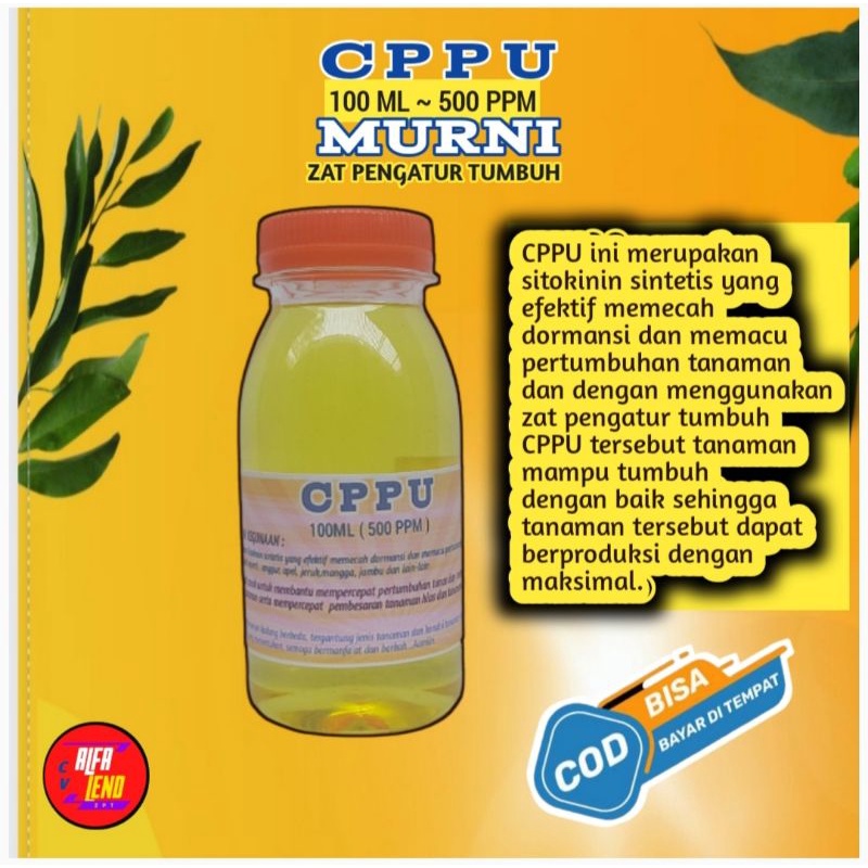 Jual Hormon CPPU Murni 500 ppm zpt pembesar tunas dan buah 100 ml | Shopee Indonesia