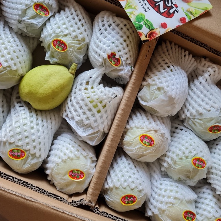 Jual HarvestMoon Pear Xiang Lie Per Kg | Shopee Indonesia