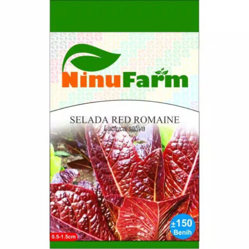 Jual Benih SELADA RED ROMAINE / SELADA ROMAN MERAH | Shopee Indonesia