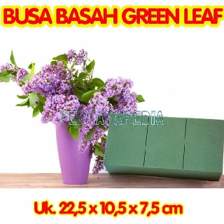 Jual BUSA BUNGA HIDUP BUSA BASAH/ BUSA BUNGA ASLI BUSA BASAH/OASIS ...