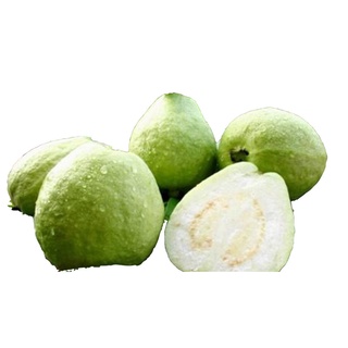 Jual Jambu Kristal Putih Jambu Crystal Krystal Crystal Guava 1 Kg ...