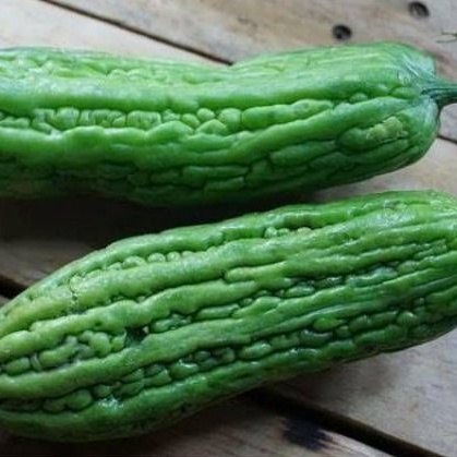 Jual Biji Tanaman Sayur Pare | Shopee Indonesia