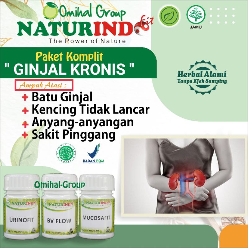 Jual Paket Lengkap Herbal Perawatan Organ Ginjal, Kencing Batu, Batu Ginjal URINOFIT MUCOSAFIT ...