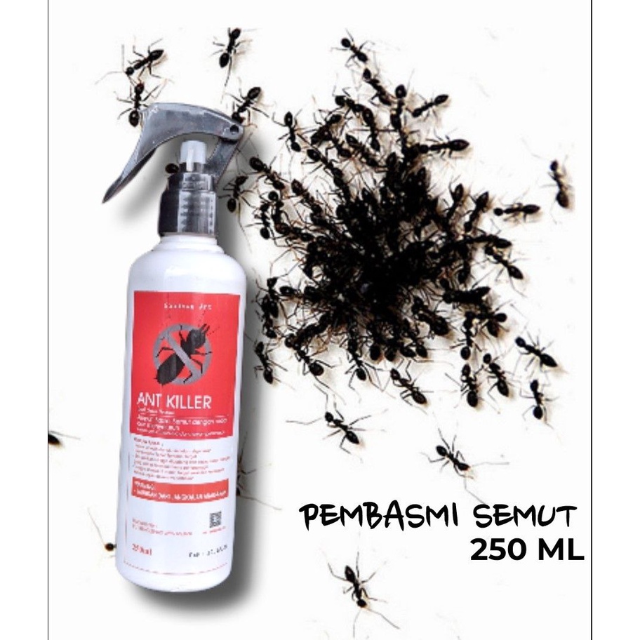 Jual PEMBASMI SEMUT RACUN SEMUT OBAT PEMBASMI SEMUT ANTI SEMUT OBAT ...
