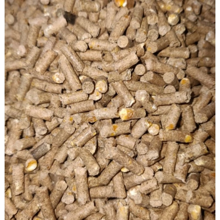 Jual pakan unggas pur babi 1kg | Shopee Indonesia
