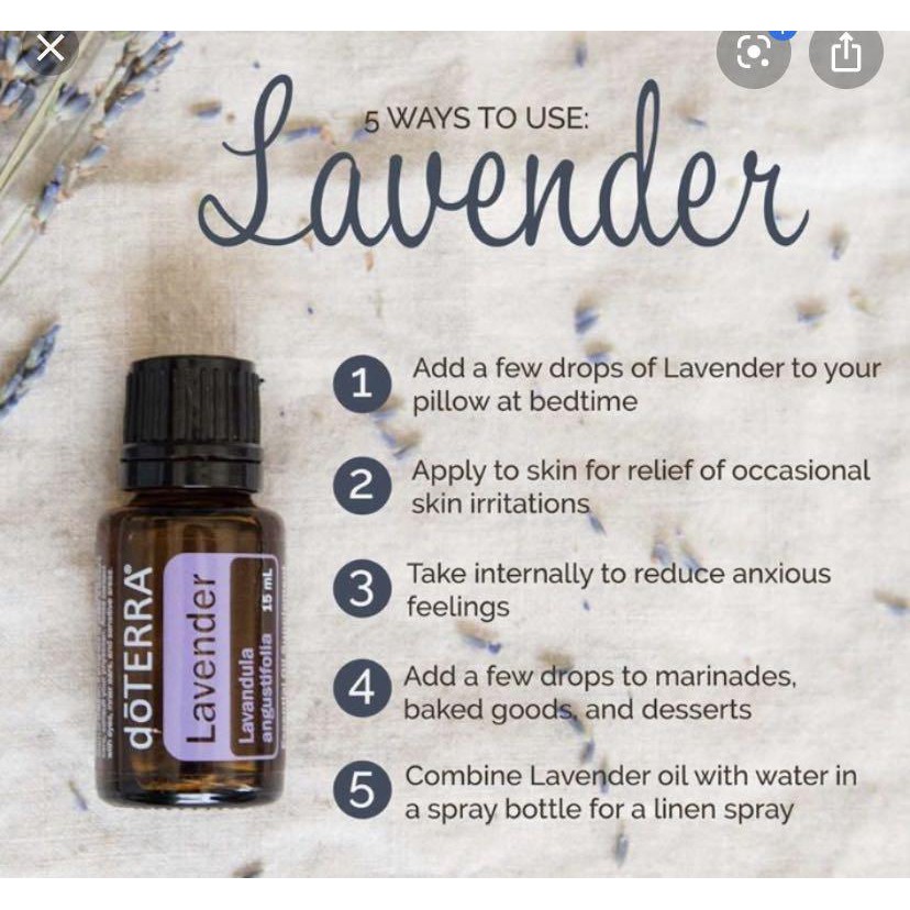Jual DOTERRA LAVENDER 15ML | Shopee Indonesia