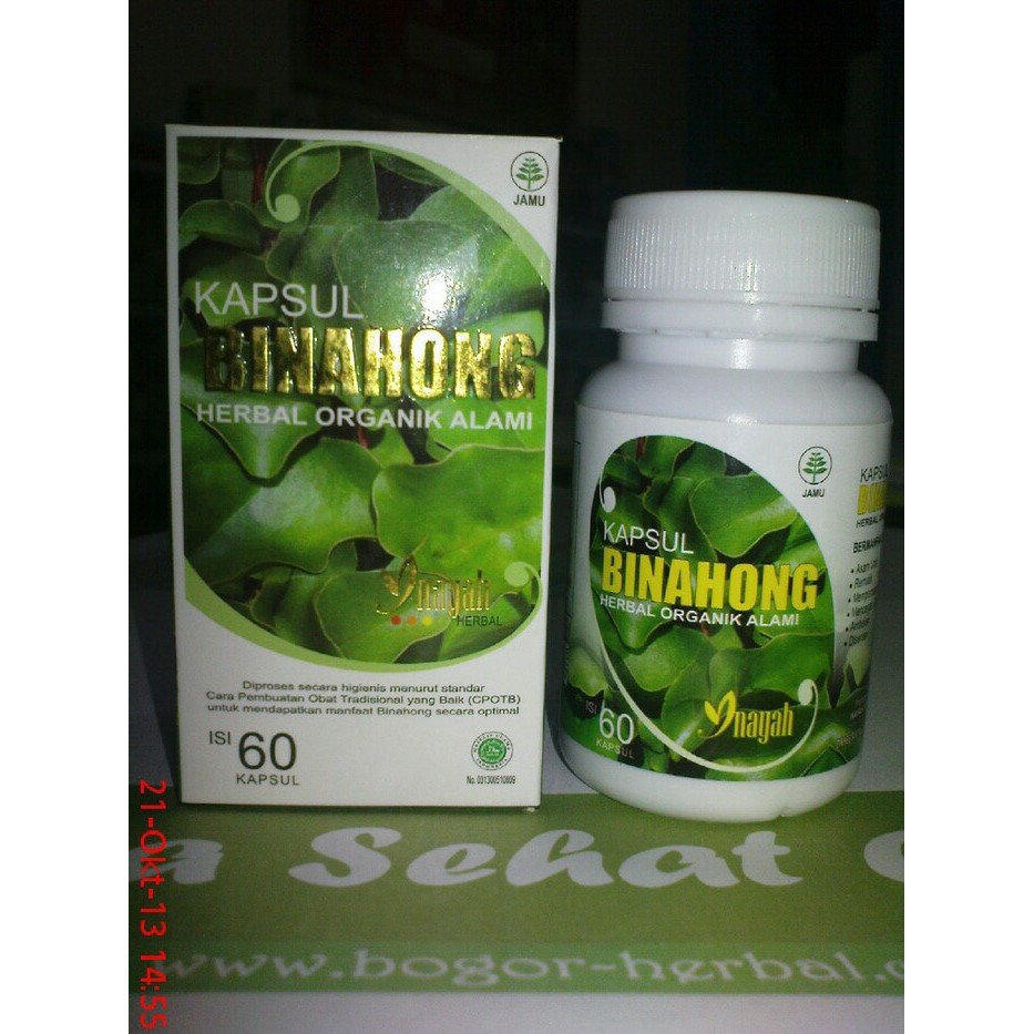 Jual BINAHONG isi 60 kapsul INAYAH cv IGA | Shopee Indonesia