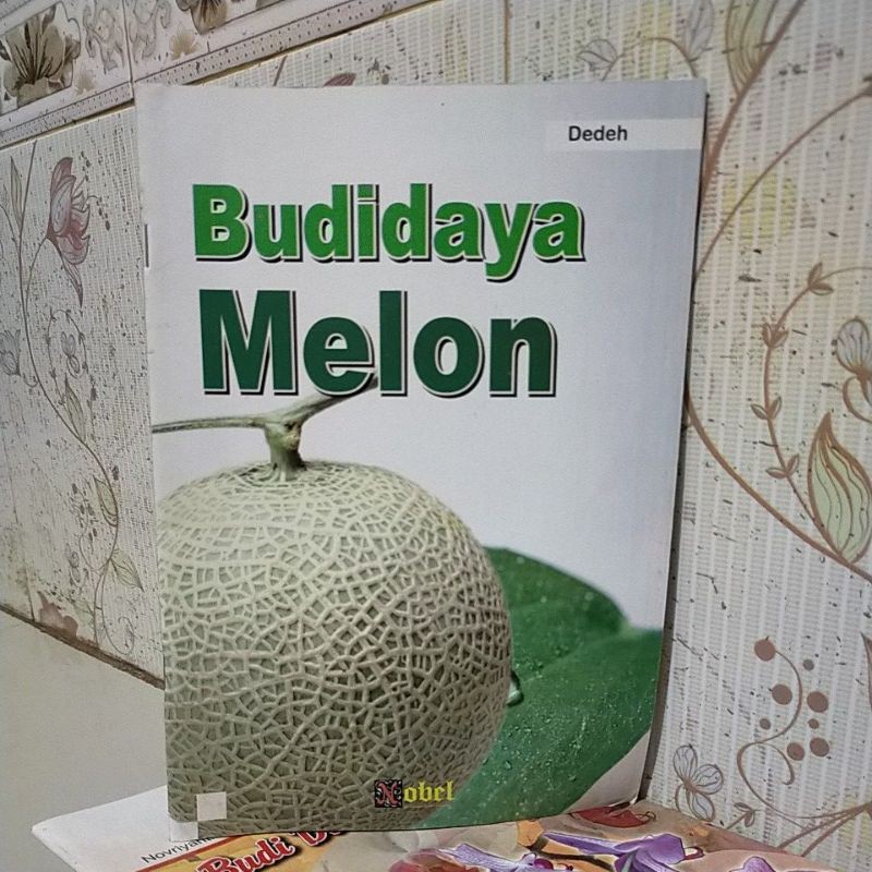 Harga budidaya melon Terbaru Feb 2025 | BigGo Indonesia