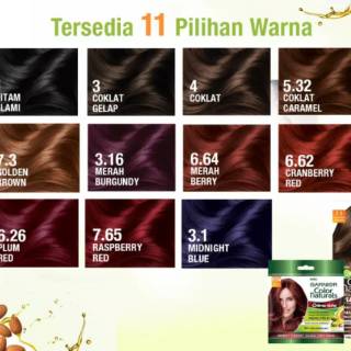 Jual Garnier color naturals cat semir pewarna rambut coklat gelap ...