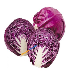 Jual Kol Ungu | Lokal [Berat 0.4-0.7 Kg/Buah] Harga Per KG | Shopee ...