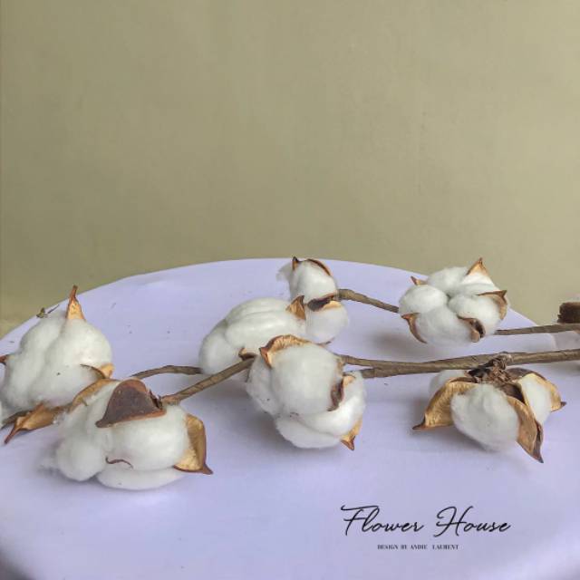 Jual Artificial Cotton Flower / Bunga Kapas Artificial x10 | Shopee ...