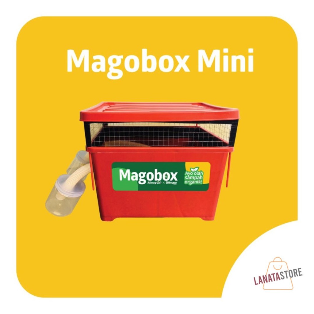 Jual Budidaya Maggot Magot di Rumah Biomagg Almagot - Magobox Mini ...