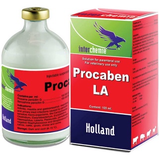 Jual PROCABEN LA Injeksi Antibiotik Penicillin Long Acting | Shopee ...