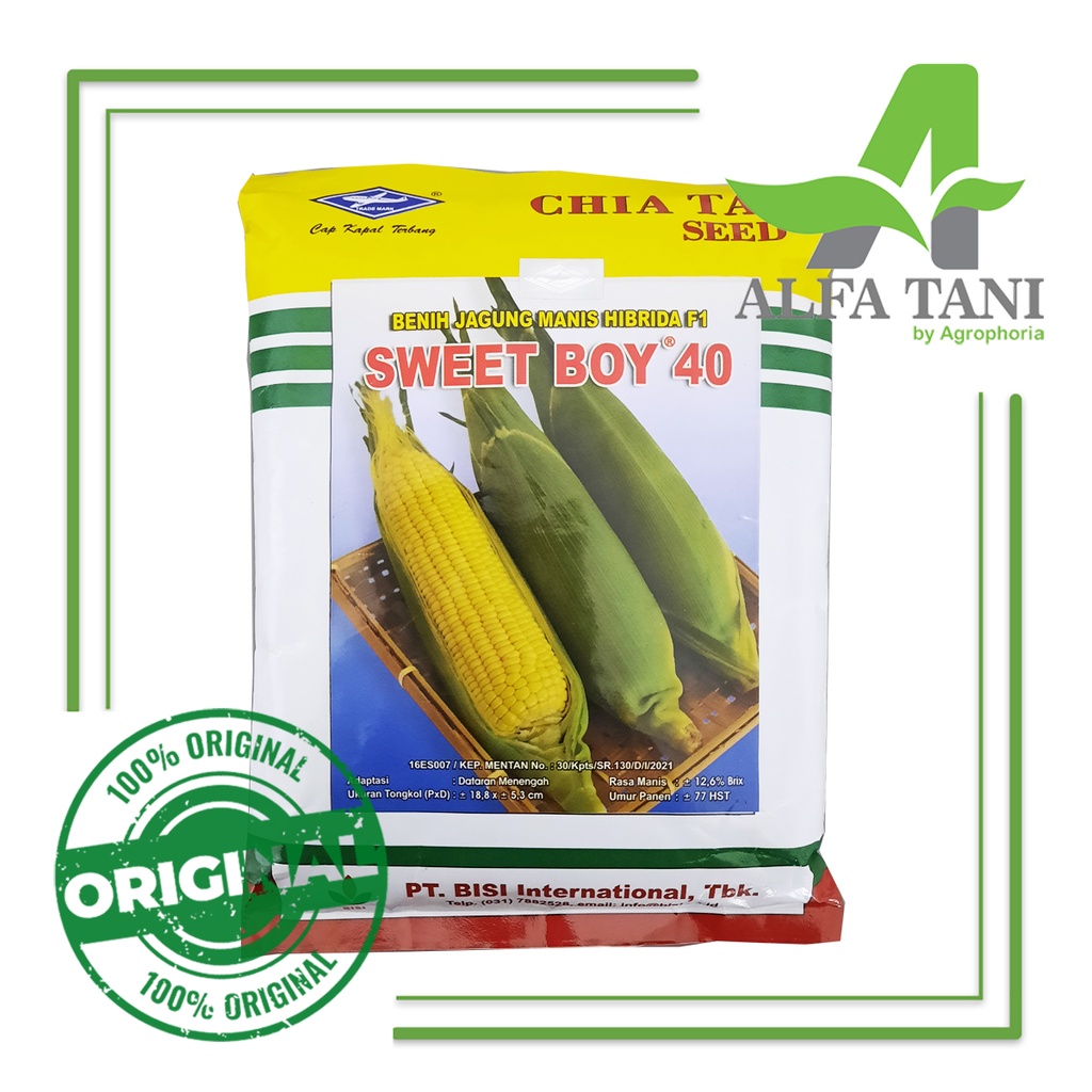 Jual Benih Jagung Manis Hibrida Sweet Boy 250 gram / BISI | Shopee Indonesia