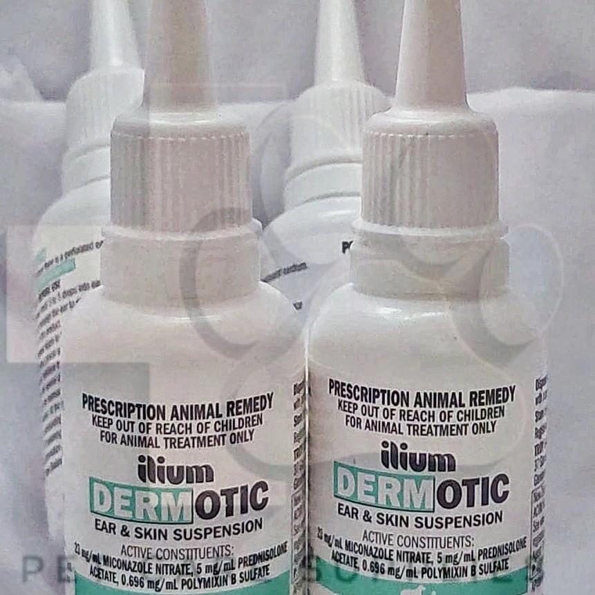 Harga Surolan EAR Drop Terbaru Apr 2025 | BigGo Indonesia