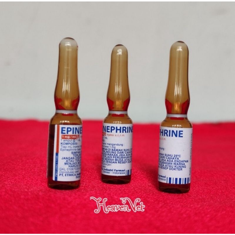 Harga Efineprin Terbaru Agustus 2023 |BigGo Indonesia