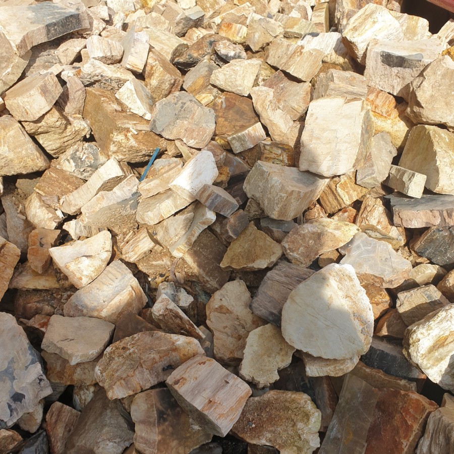 Jual Jual Batu Kayu Hiasan Aquascape per 1 kg | Shopee Indonesia