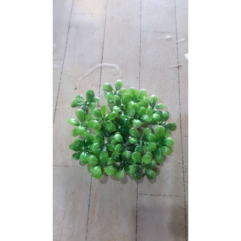 Jual Krokot hijau 4cm | Shopee Indonesia