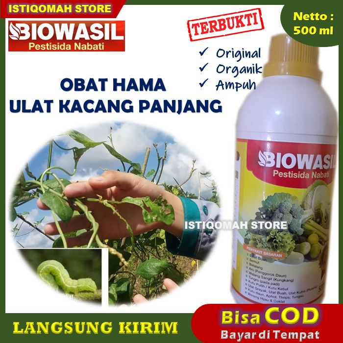 Jual BIOWASIL 500ml Pestisida Nabati Obat Hama Penyakit Ulat pada Buah dan Daun Tanaman Kacang ...