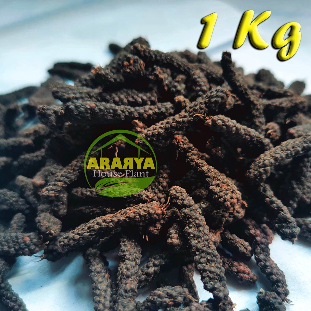 Jual Cabe Jawa / Cabe Puyang 1 Kg / Cabe Jamu Kering / Cabai Puyang ...