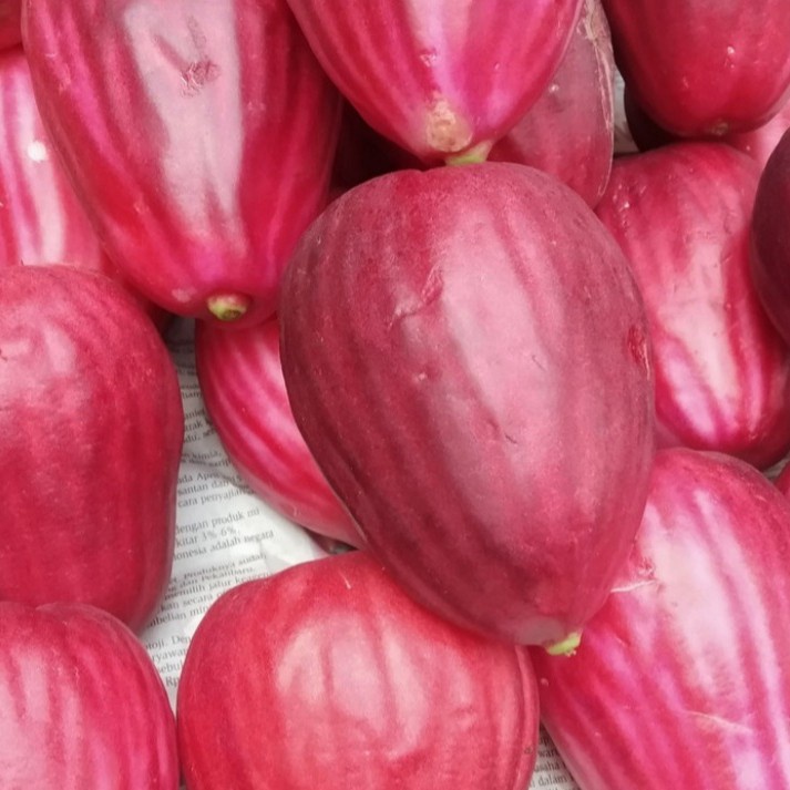 Jual Buah Jambu Bol Jamaika Fresh 1Kg | Shopee Indonesia