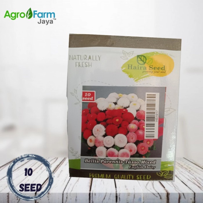 Jual TERLARIS BENIH BUNGA ENGLISH DAISY BELLIS TASSO MIX (HAIRA SEED ...