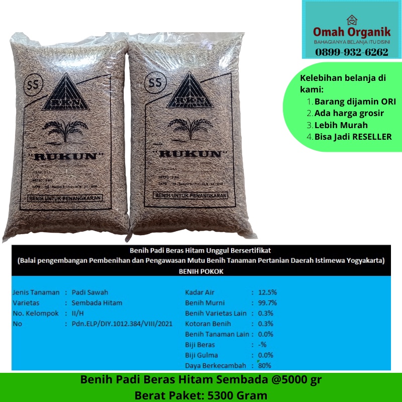 Jual Benih Bibit Padi Beras Hitam Sembada 5kg | Shopee Indonesia